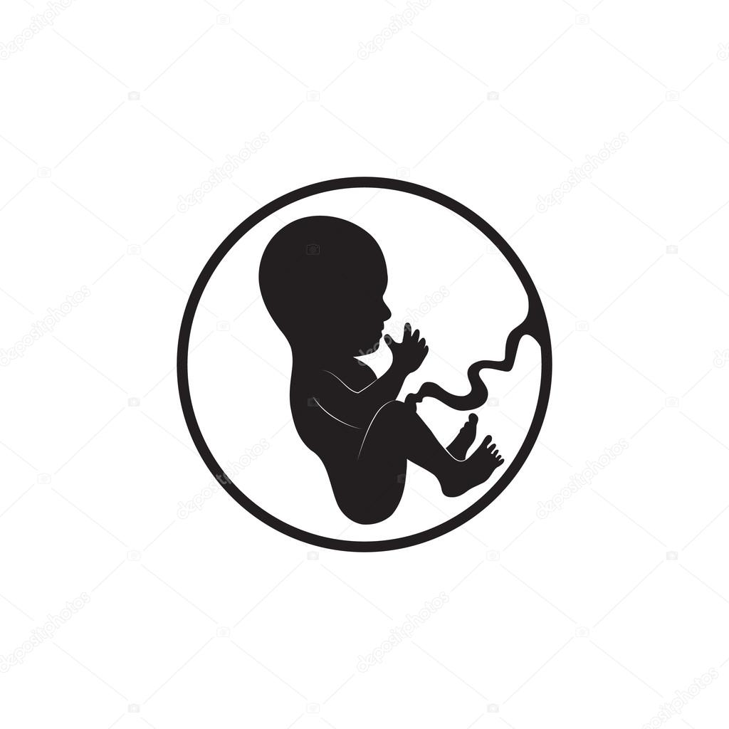 Embryo sketch illustration — Stock Vector © YokoDesign #118502822 Embryo sketch illustration — Stock Vector © YokoDesign #118502822