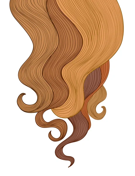 Haircut flyer templates | Hair style template. Hairstyle design. Vector ...