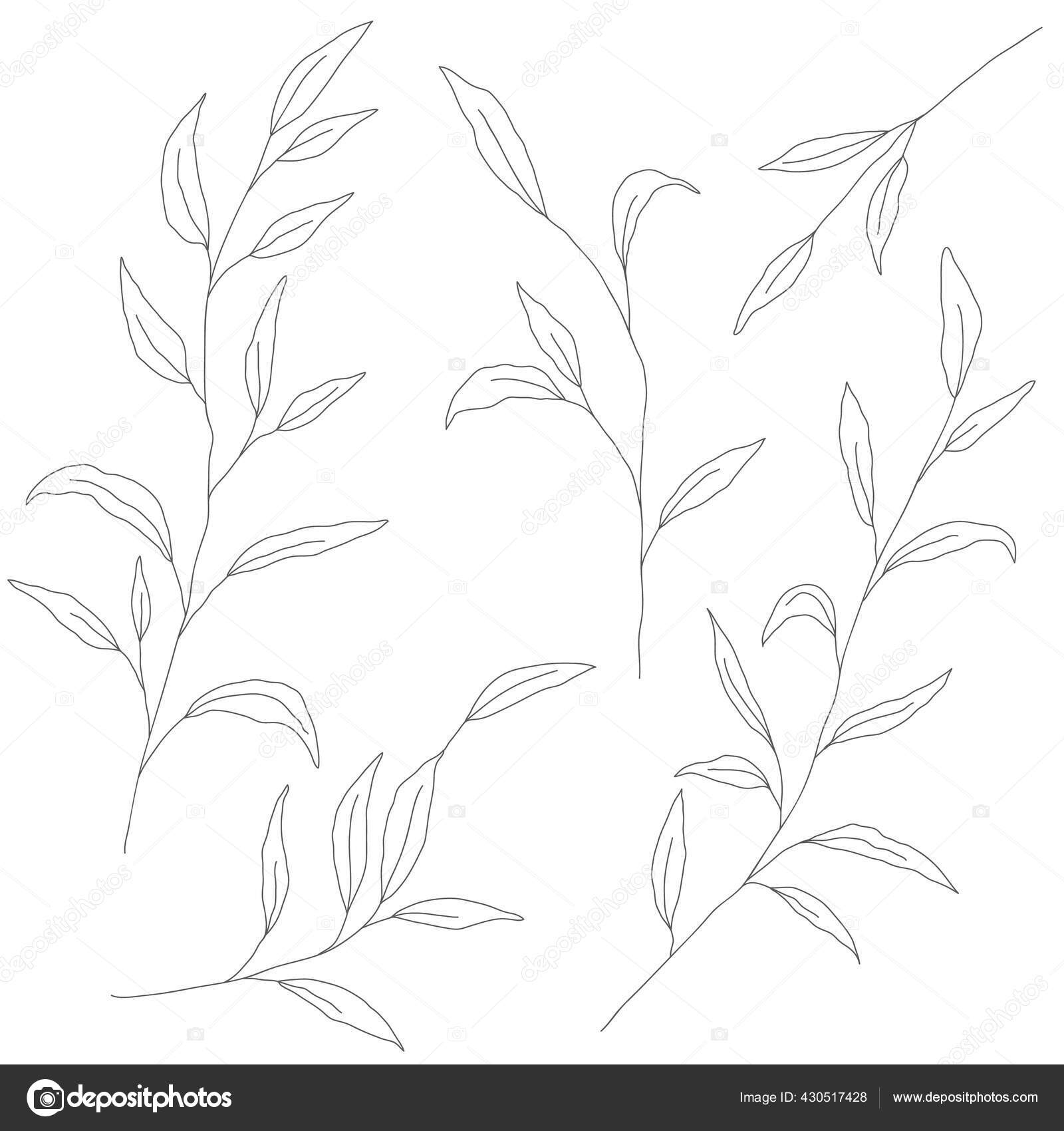 Minimalism Line Drawing Leaf Vector One Line Art Botanical Sketch Stock ...