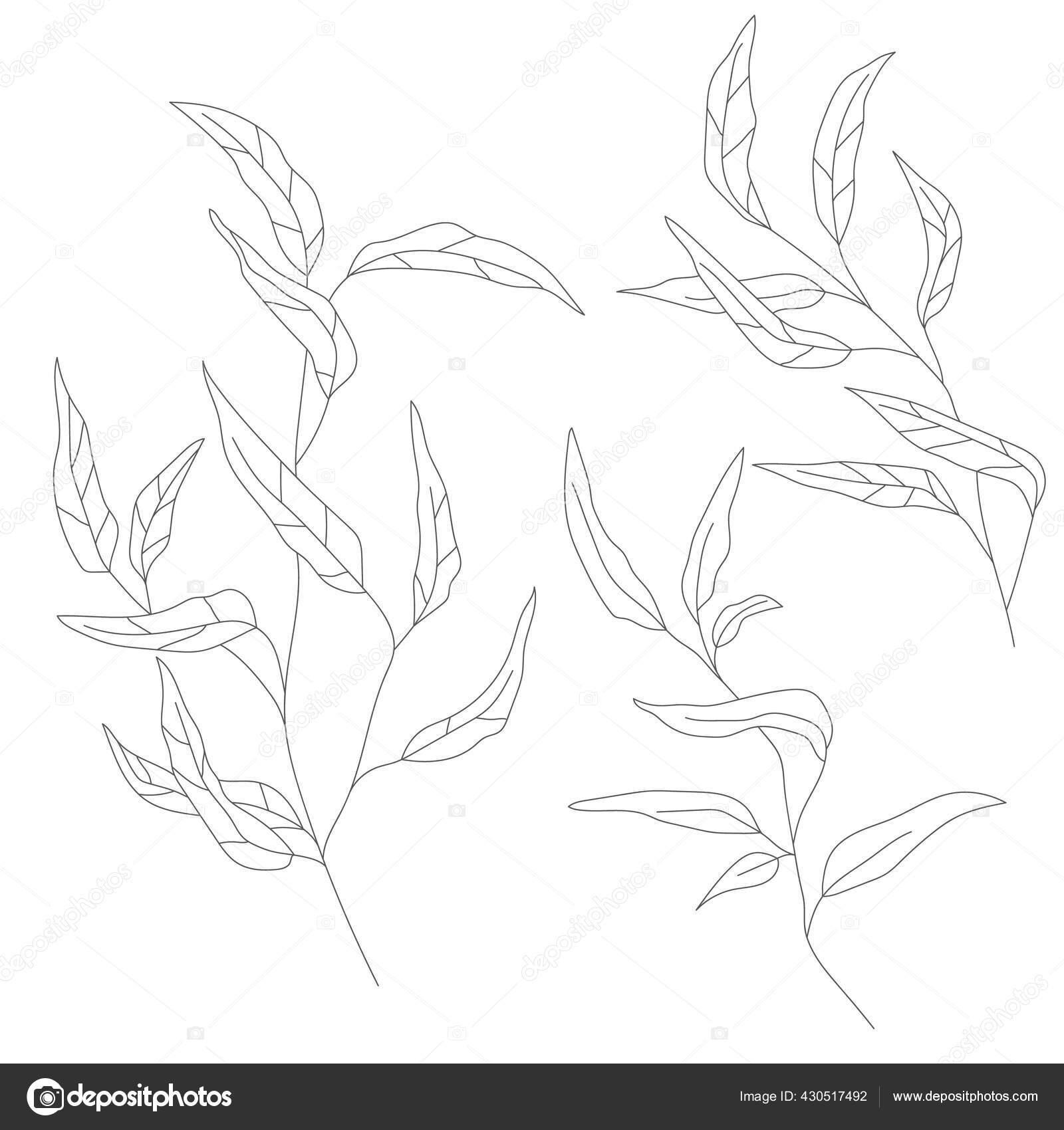 Minimalism Line Drawing Leaf Vector One Line Art Botanical Sketch Stock ...