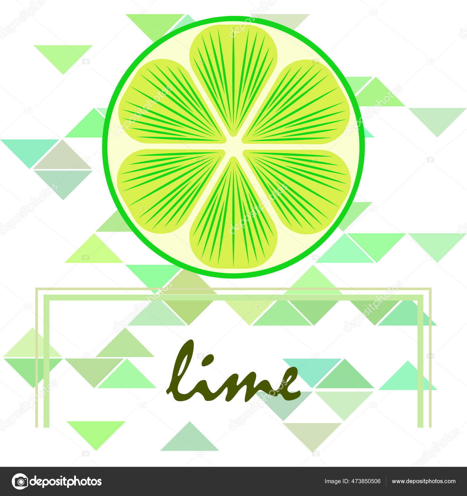 Green Half Slice Lime Vector Illustration Background Stock Vector Image ...
