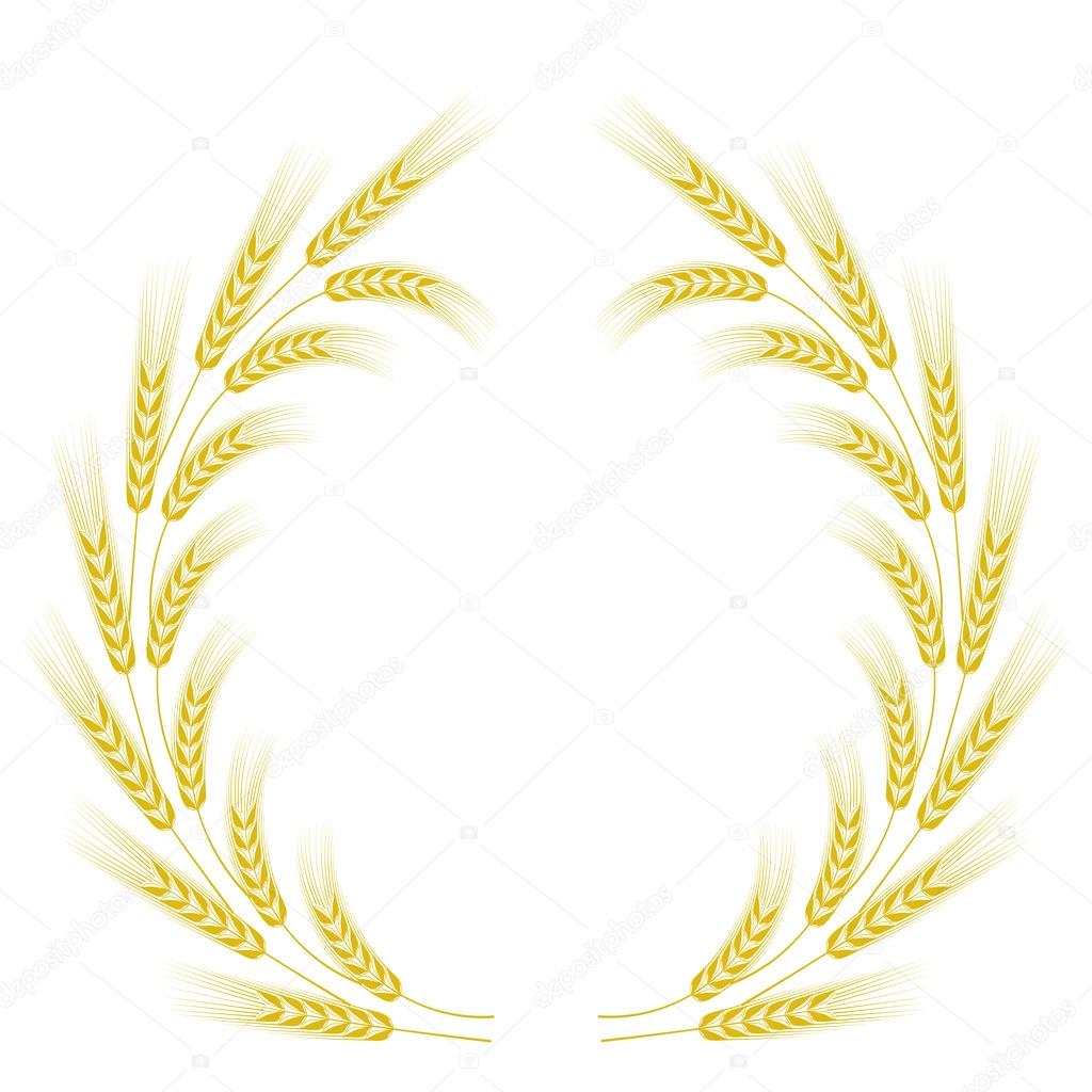 Wheat Frame Stock Vector by ©valeo6 72364275