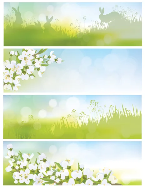 Spring banners with blossoming branch - Stock Image - Everypixel