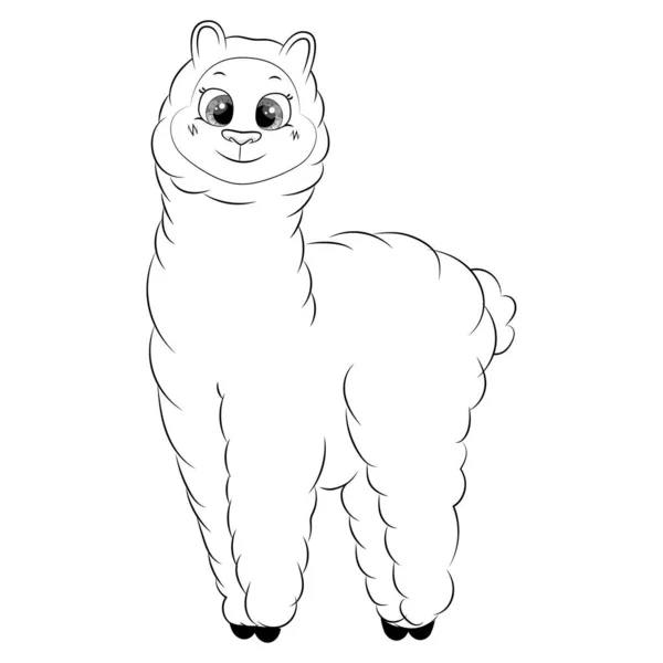 Cute Alpaca Drawing