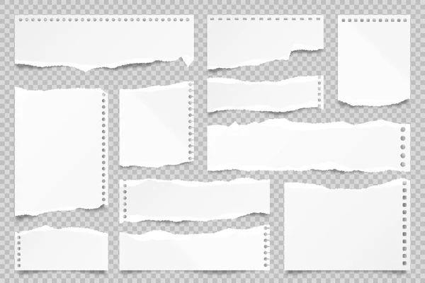 Ripped paper strips on transparent background. Realistic crumpled paper ...