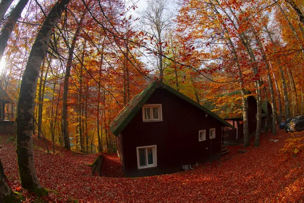 Chalet en automne images libres de droit, photos de Chalet en automne ...
