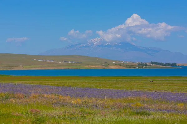 Imágenes de Suphan dagi, fotos de Suphan dagi sin royalties | Depositphotos