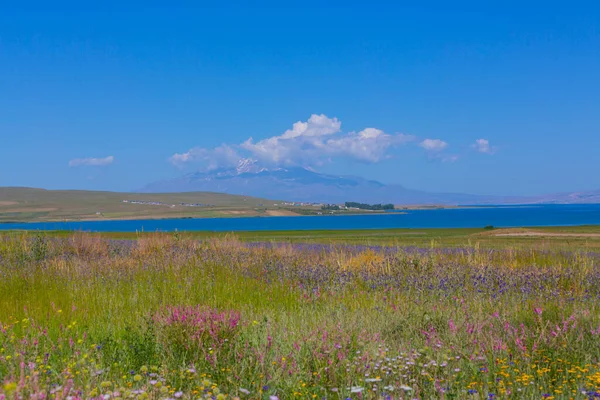 Imágenes de Suphan dagi, fotos de Suphan dagi sin royalties | Depositphotos