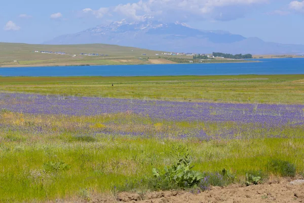 Imágenes de Suphan dagi, fotos de Suphan dagi sin royalties | Depositphotos