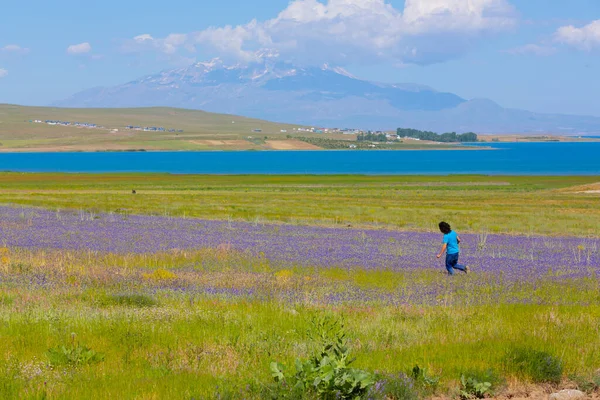 Imágenes de Suphan dagi, fotos de Suphan dagi sin royalties | Depositphotos