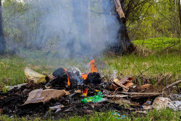 Burning everyday garbage, household waste in a fire in the forest ...