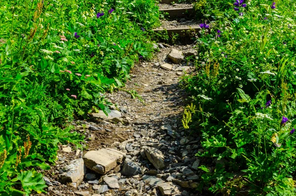 Grit pathway Stock Photos, Royalty Free Grit pathway Images | Depositphotos