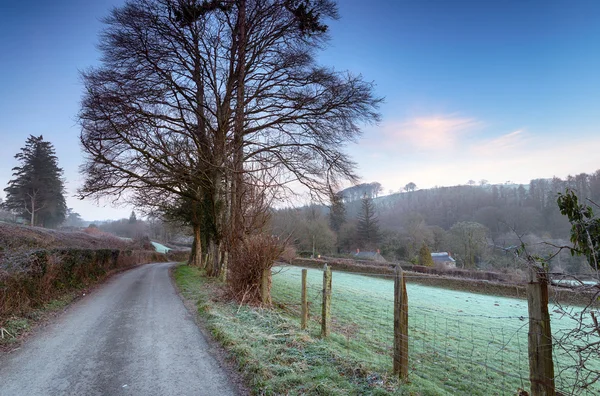 Country lane Stock Photos, Royalty Free Country lane Images | Depositphotos