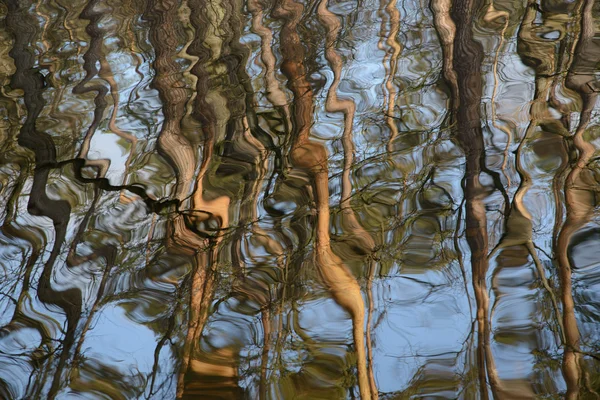 Reflection nature Stock Photos, Royalty Free Reflection nature Images ...