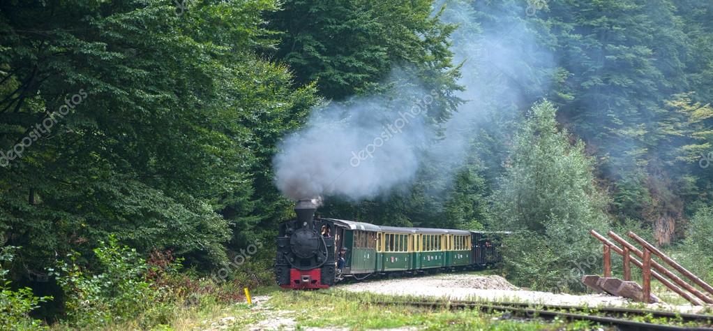 Running wood-burning locomotive Stock Photo by ©ggaallaa 99094134