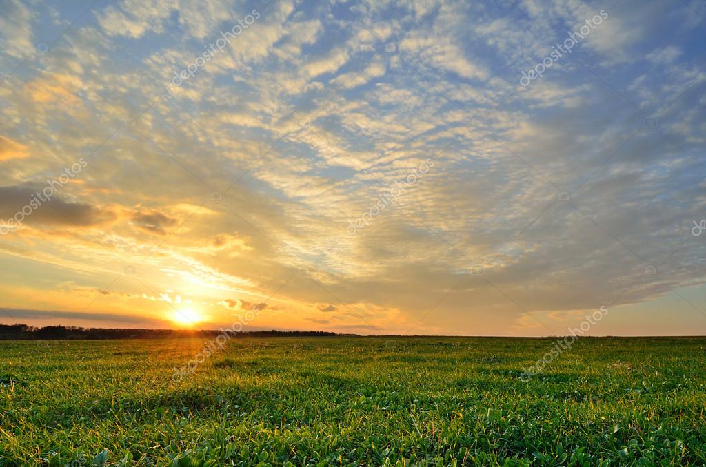 Sunrise Over Green Field