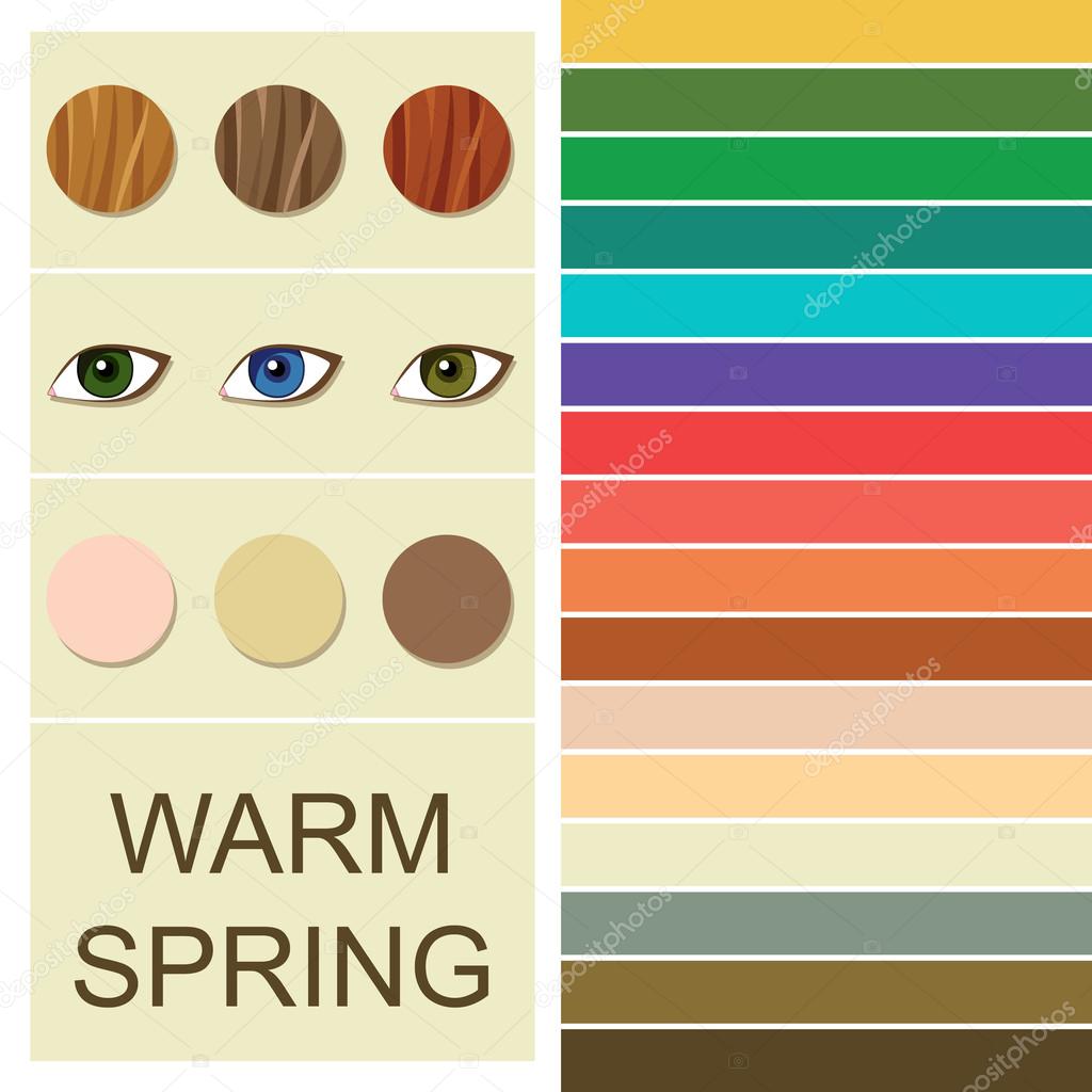 Paleta De Análisis De Color Estacional De Vector De Stock Para Tipo De