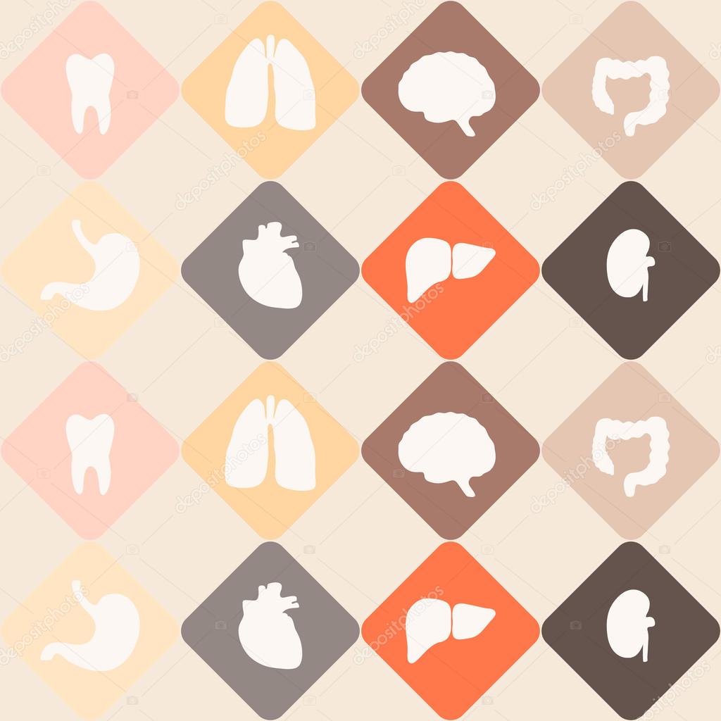 Seamless background with organs of the human body Stock Vector by ...