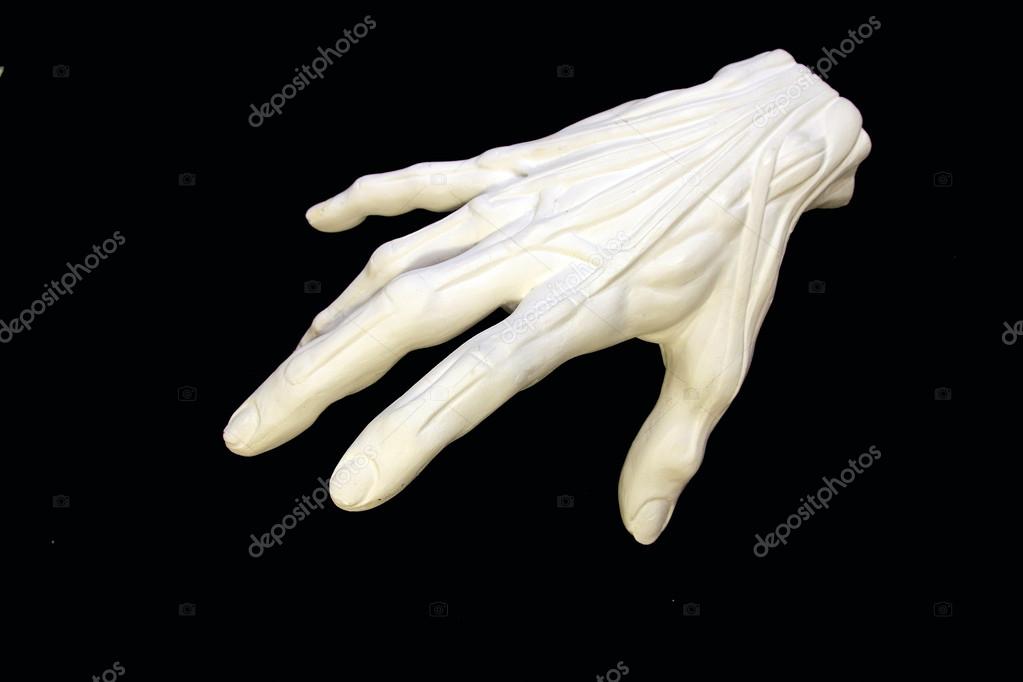 Gypsum Hand Stock Photo by ©catstail 60226029