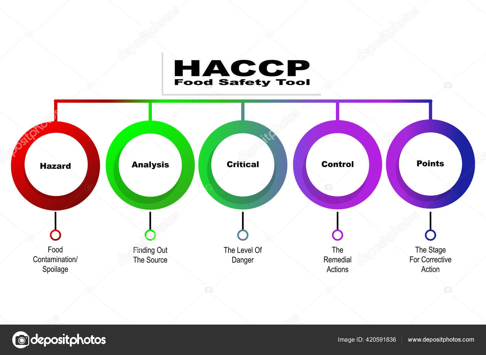 Diagrama Haccp Herramienta Seguridad Alimentaria Con Palabras Clave Eps ...