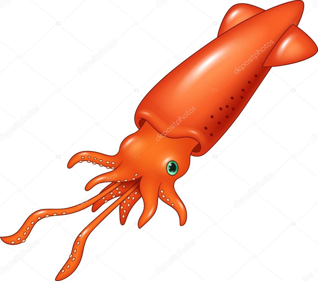 Calamar de dibujos animados aislado sobre fondo blanco 2023