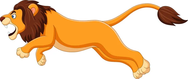 Animal Lions Running