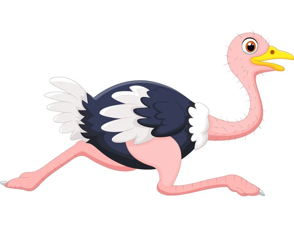 Cute ostrich cartoon running — Stock Vector © irwanjos2 #85856474