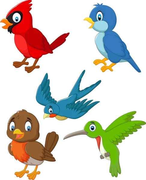 Cartoon birds collection set Stock Vector Image by ©tigatelu #42241839