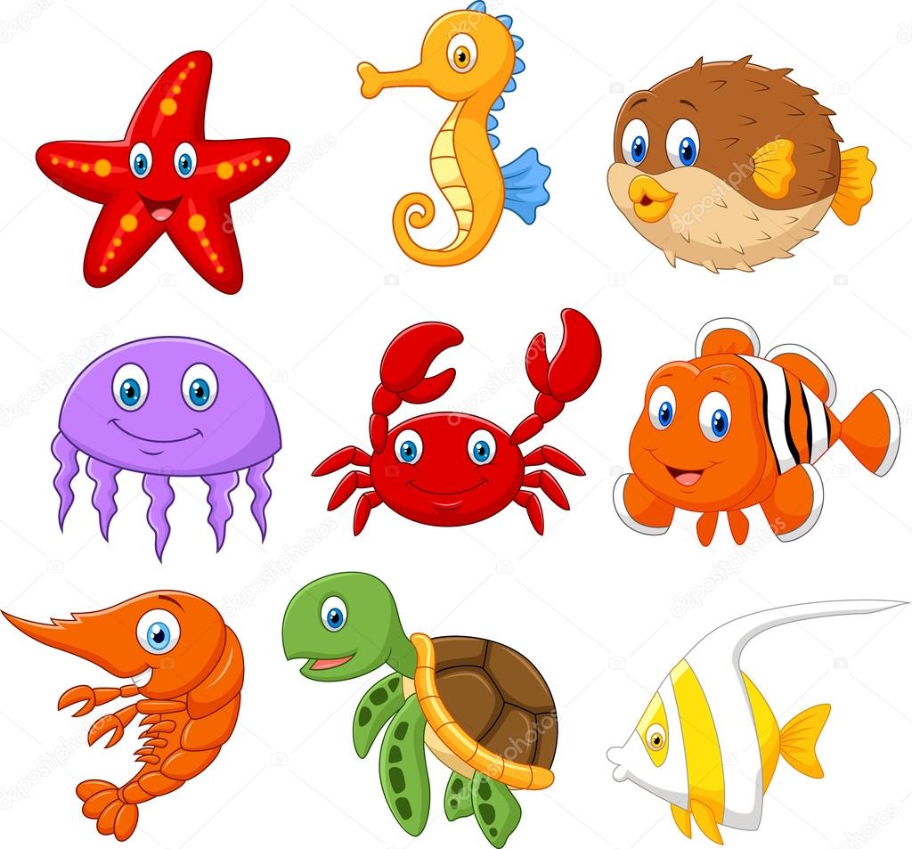 Juego de colección de peces de dibujos animados 2023 Juego de colección de peces de dibujos animados 2023