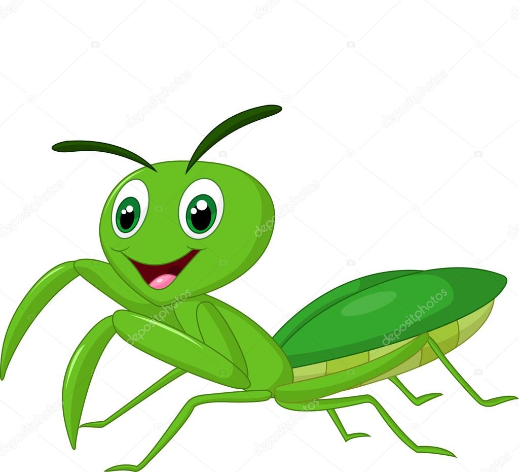 Cartoon praying mantis Stock Vector Image by ©tigatelu #73709247