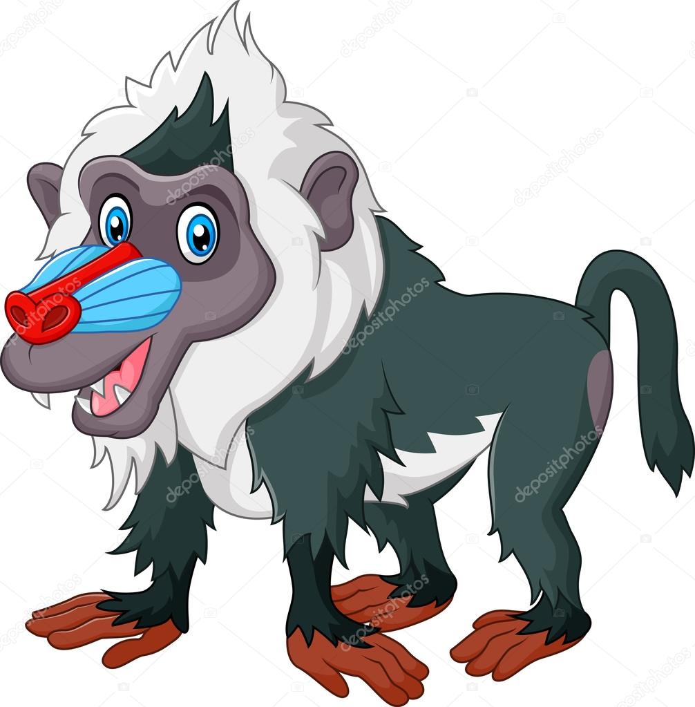 Cartoon Baboon