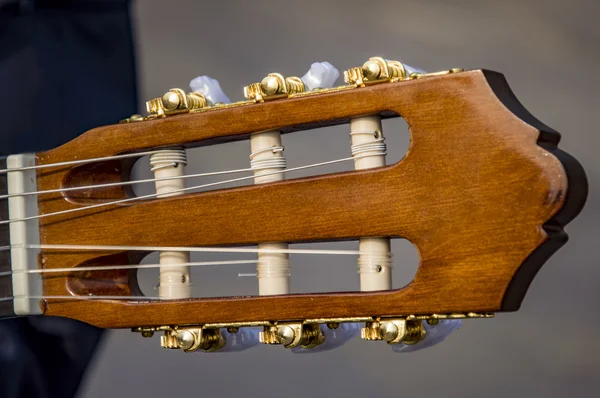 Guitar head with strings - Stock Image - Everypixel