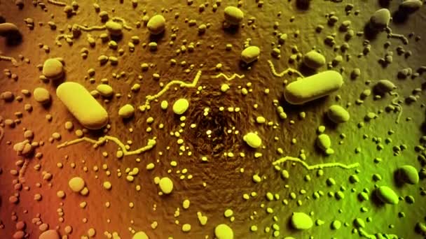 Bacteria closeup loopable animation. ⬇ Video by © 3dmentat Stock ...