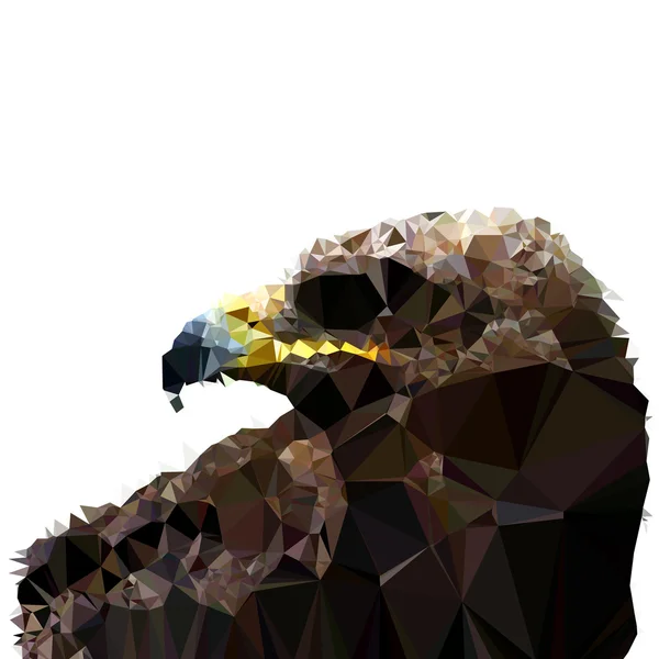 Animal triangles Pictures, Animal triangles Stock Photos & Images ...