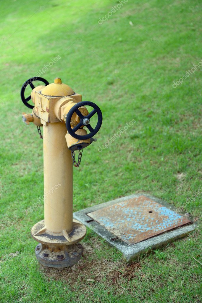 Fire hydrant — Stock Photo © Volga2019 #59744441