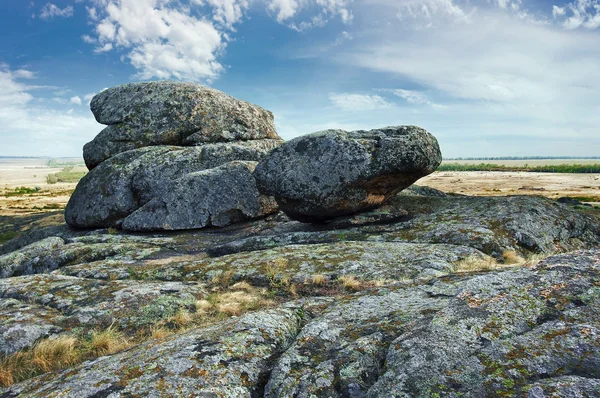 Steppe landscape with wild vegetation, Ukraine, Donetsk region — Stock ...