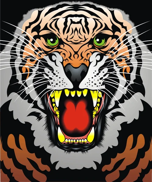 Head of wild cat Stock Vector by ©pepeemilio2 69365389