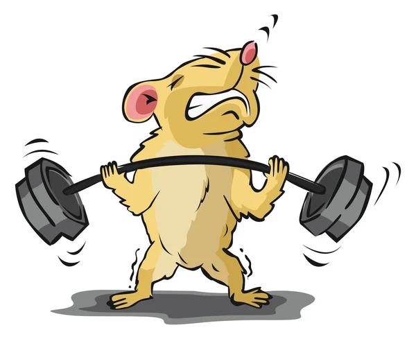 27 Gym rat Vector Images | Depositphotos