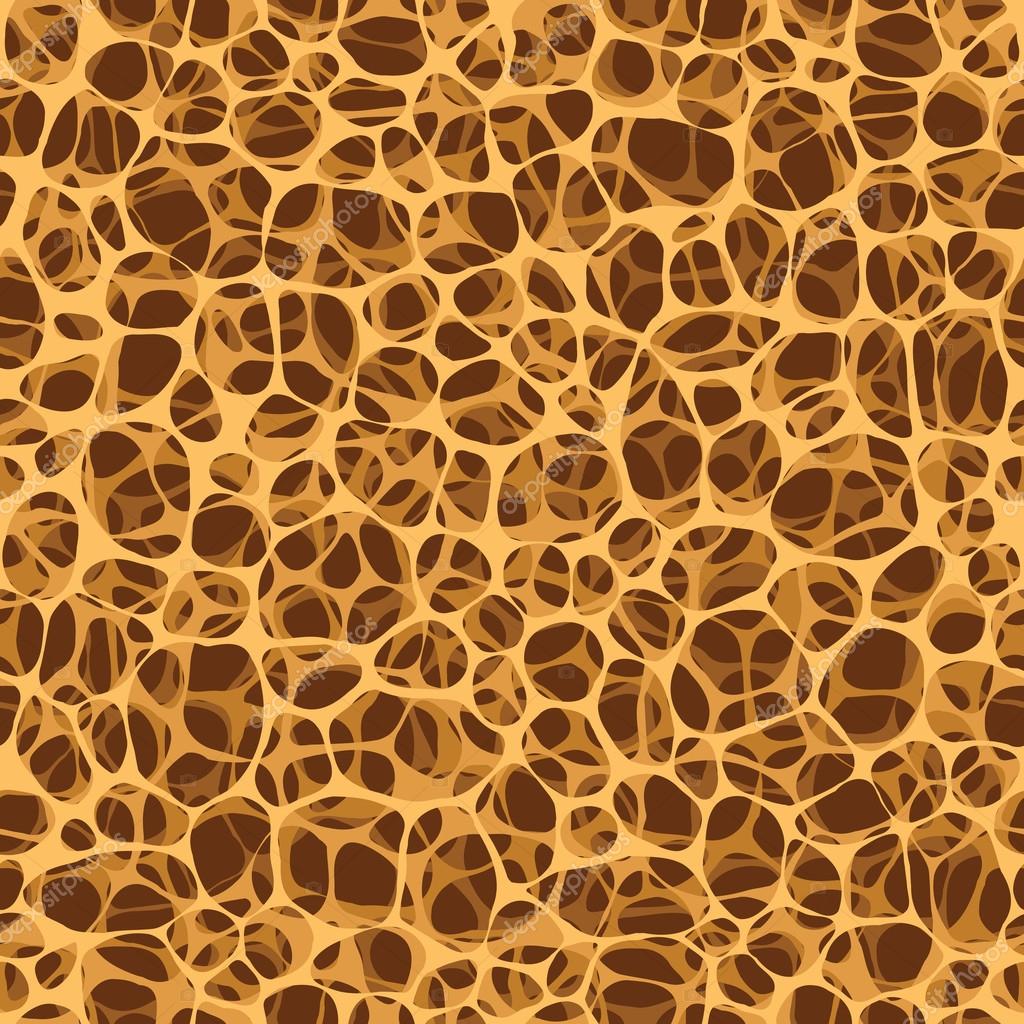 Bone spongy structure seamless Stock Vector by ©eranicle 115517700 Bone spongy structure seamless Stock Vector by ©eranicle 115517700