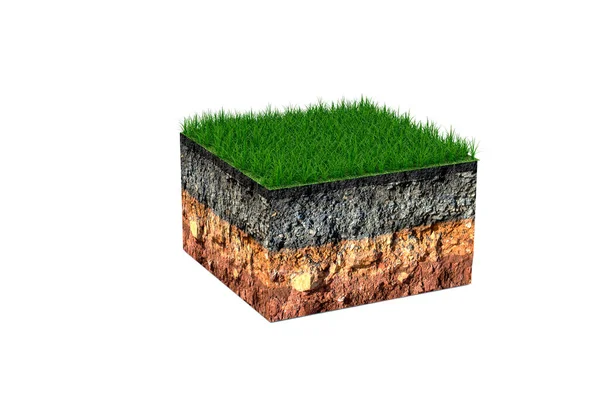 100,000 Regime de relva seca Vector Images | Depositphotos