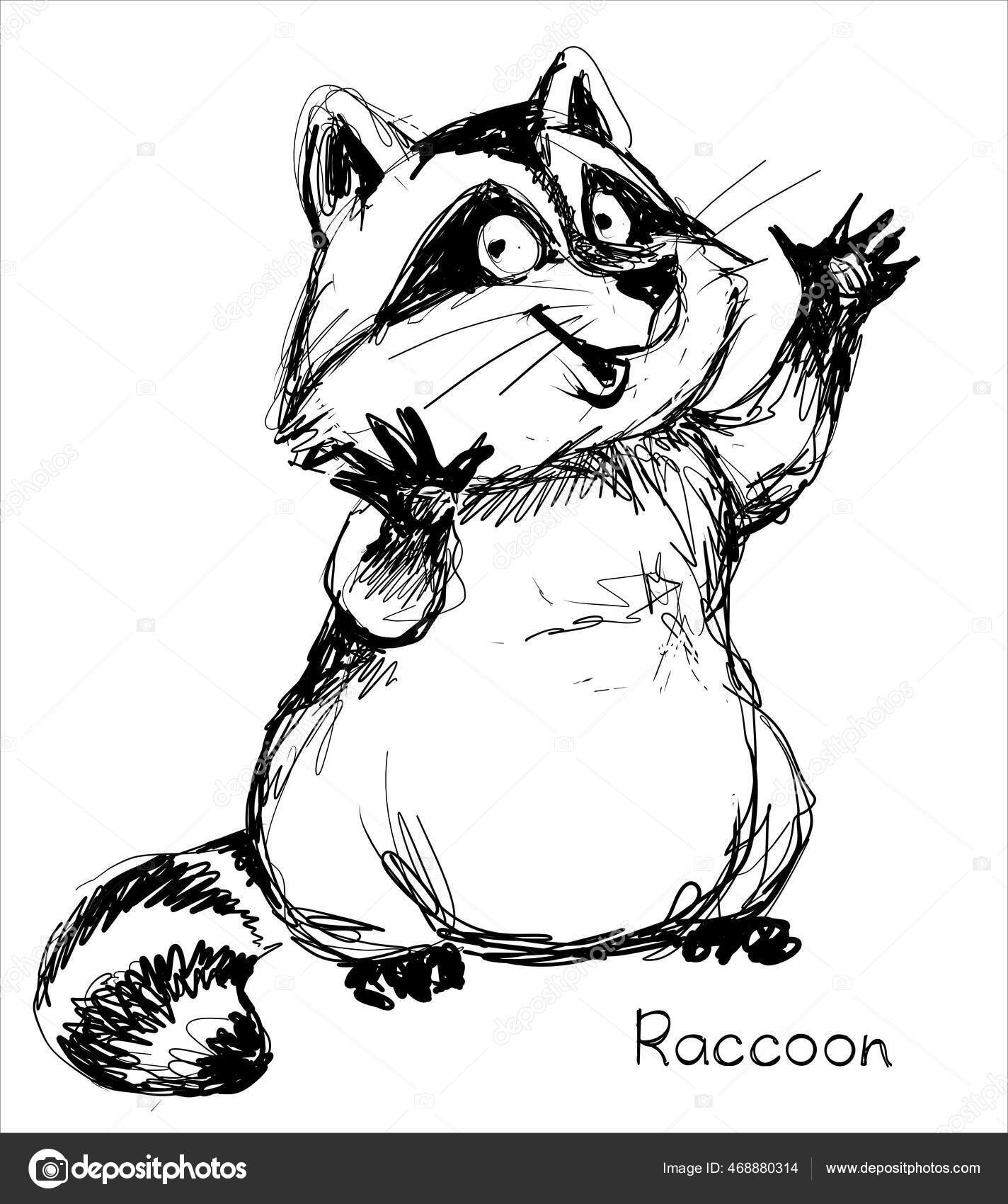 Dibujo De Mapache En Blanco Y Negro Dibujo De Mapache Blanco Y Negro