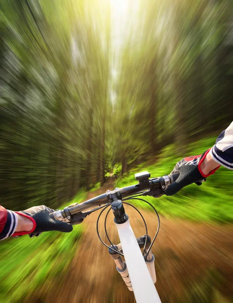 Sport and active life concept in the summer time - Stock Image - Everypixel