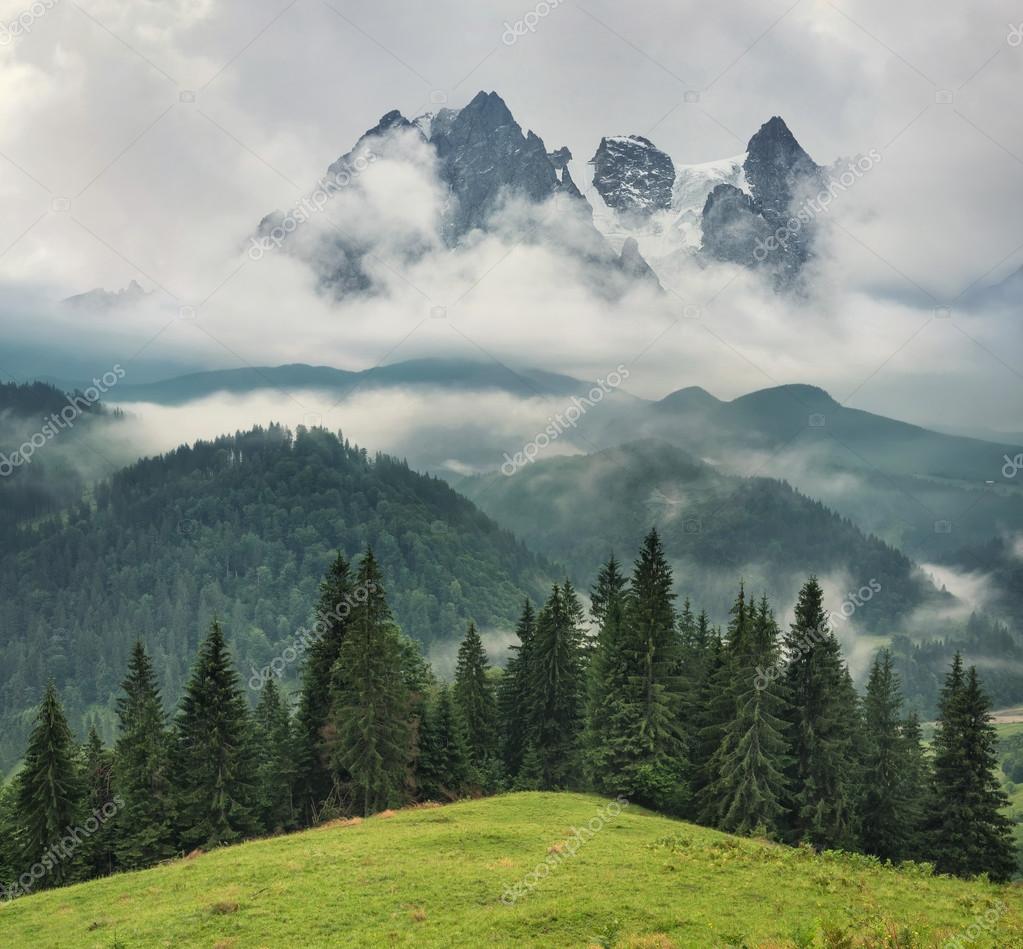 Natural Mountain Spring Landscape