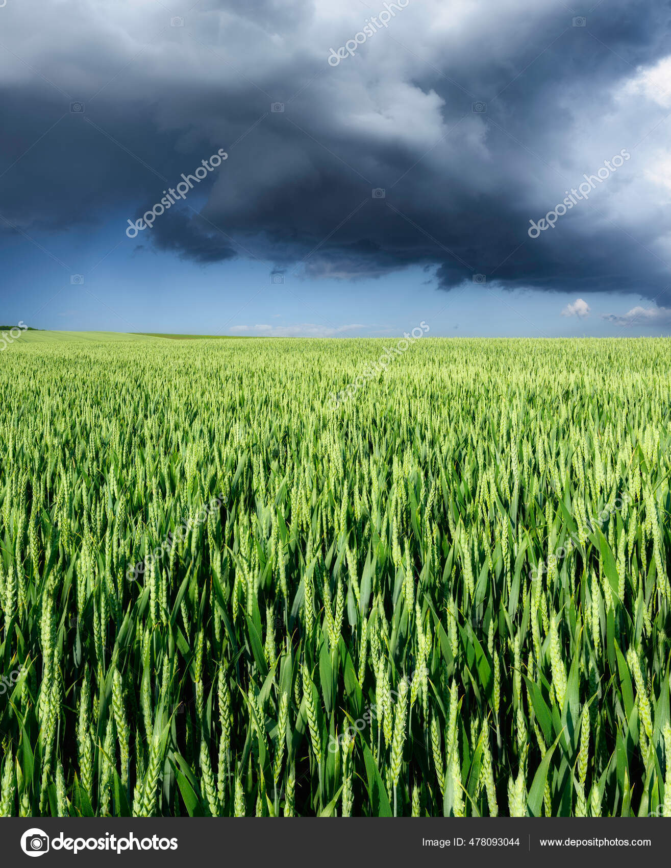 Tormenta De Cielo Verde