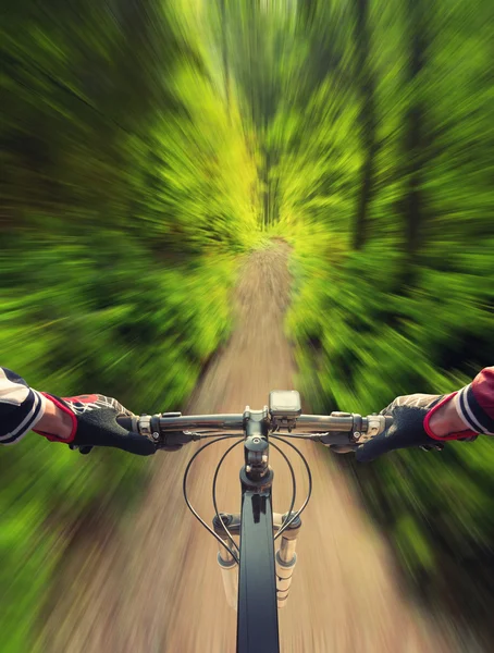 Active life concept - Stock Image - Everypixel