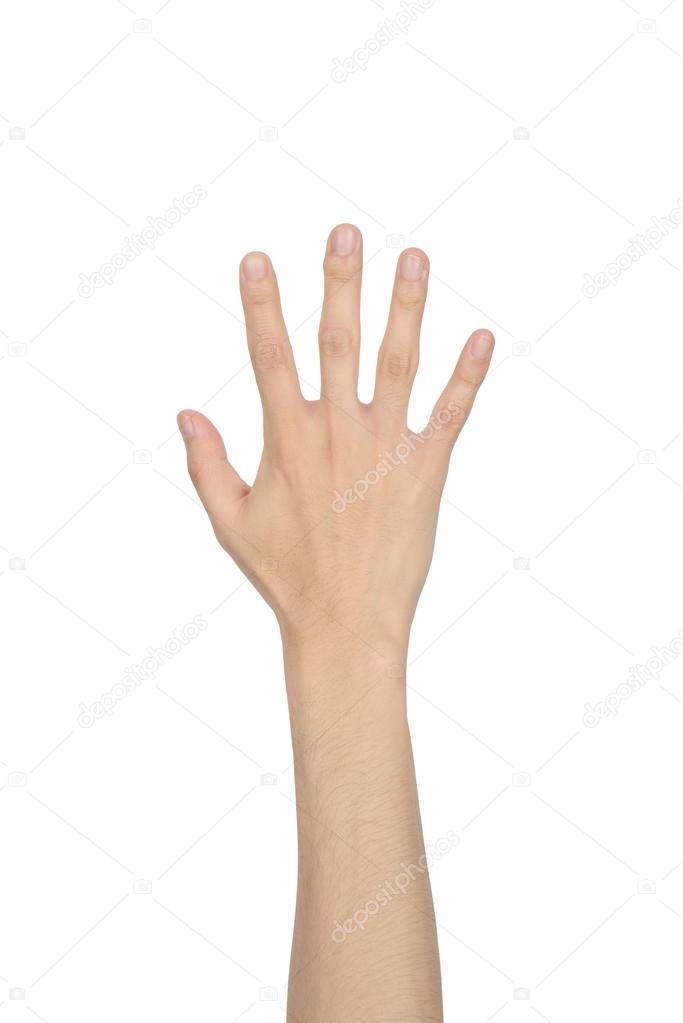Hand showing the five fingers — Stock Photo © jipen #58717133
