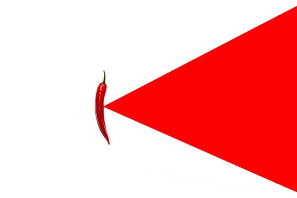 Chiles flag Stock Photos, Royalty Free Chiles flag Images | Depositphotos