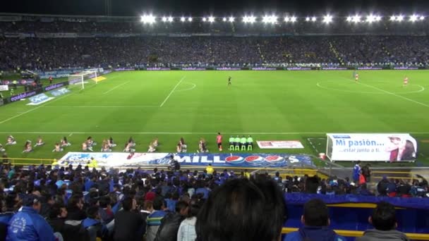 Soccer Stadium, Arena, Field, Pitch, Sports — Stock Video © dtiberio ...