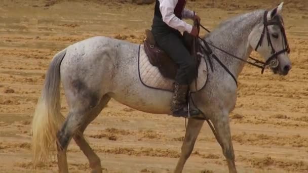 1,783 Horse back Videos, Royalty-free Stock Horse back Footage ...