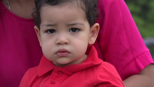 623 vídeos de Apática, metraje de Apática sin royalties | Depositphotos